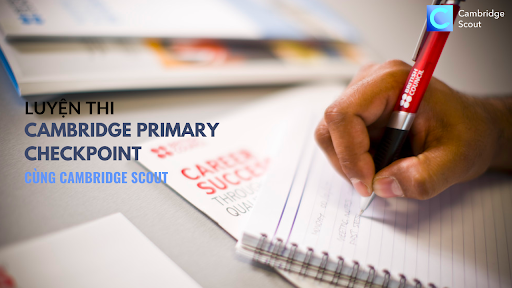 Kỳ Thi Cambridge Primary Checkpoint: Hướng Dẫn Ôn Luyện Hiệu Quả ...